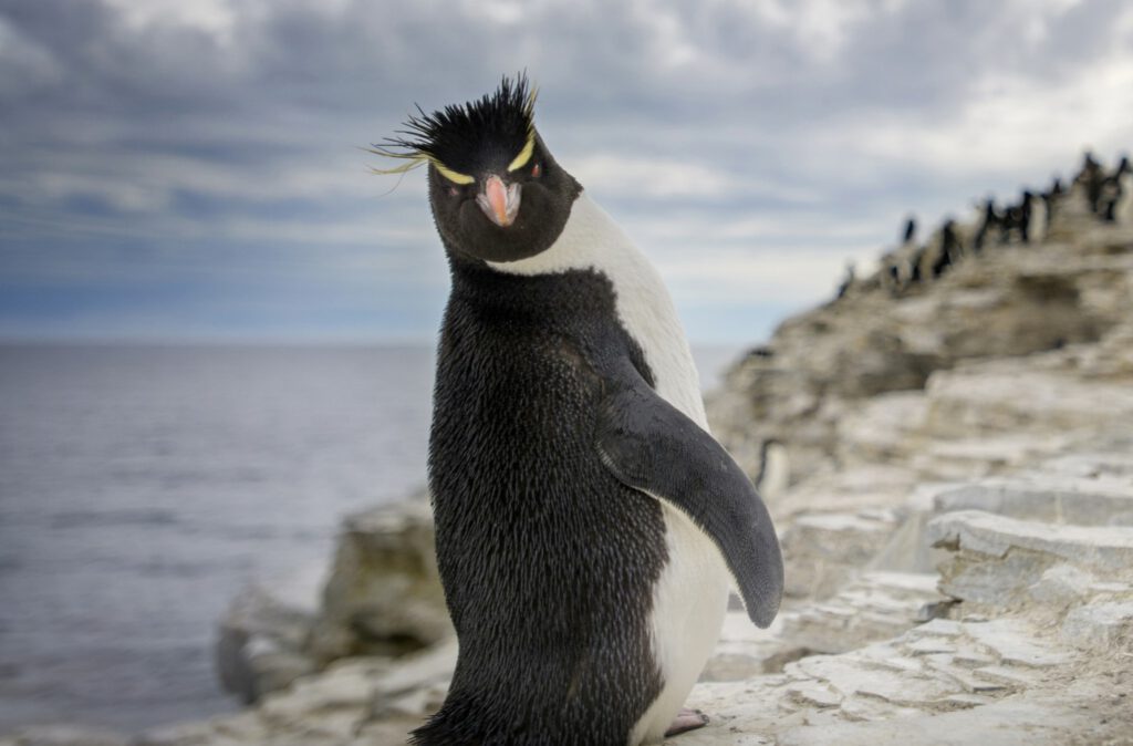 Here's another reason why Linux is way cooler than your current operating system